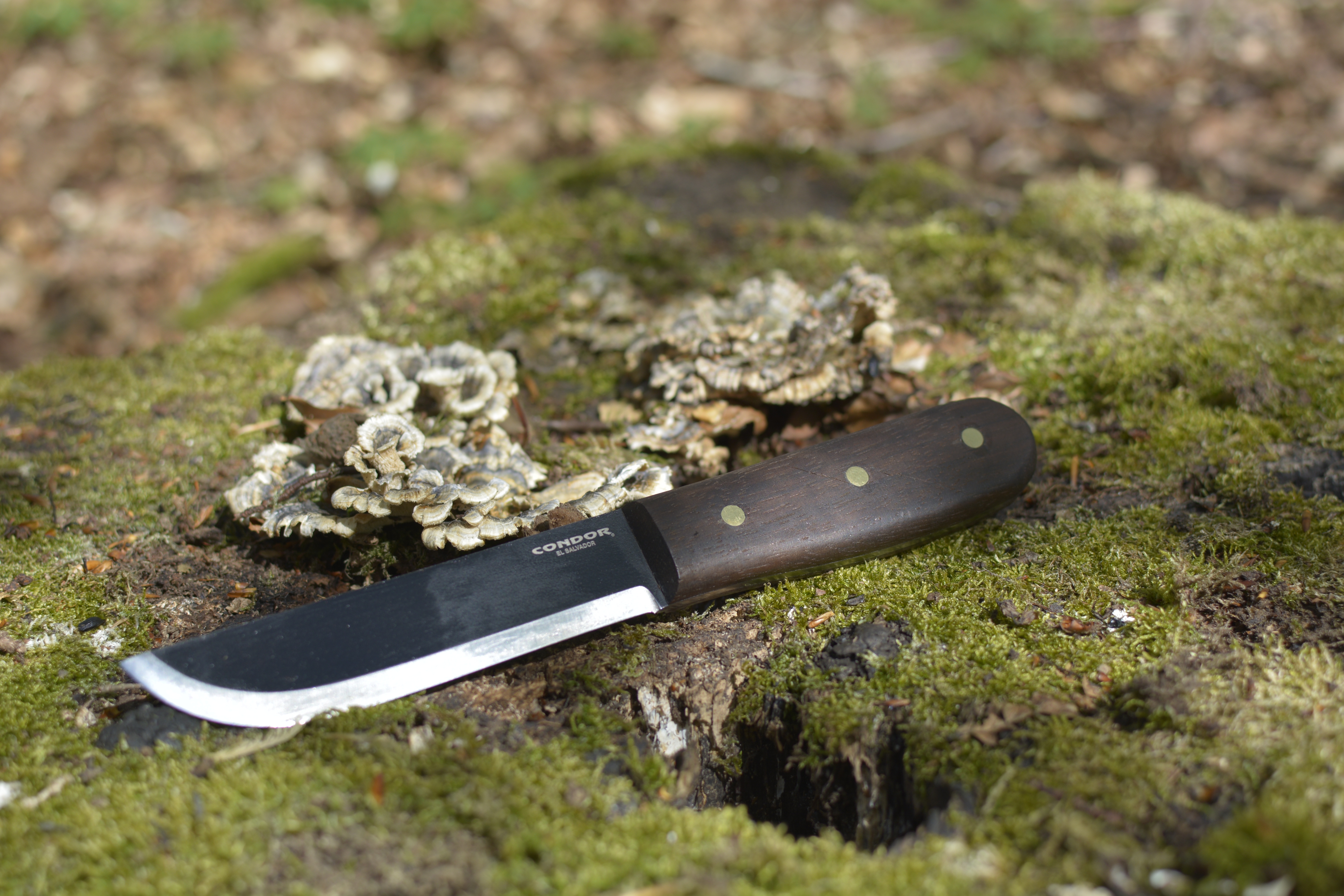 Condor Bushcraft Basic 5" - Knive - Bushcraft Danmark